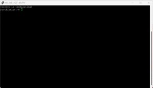 Comando Linux Screen: come funziona e perché usarlo? - The Leaking NAS Ep.02 - Ranieri's Desk